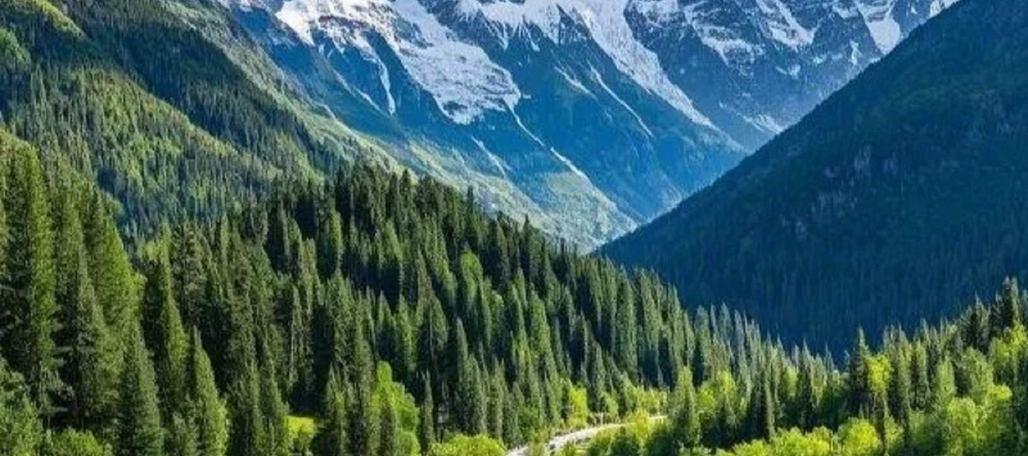 Sichuan Bipenggou Ice and Snow Fairy Tale World 1-Day Tour (Snow ...