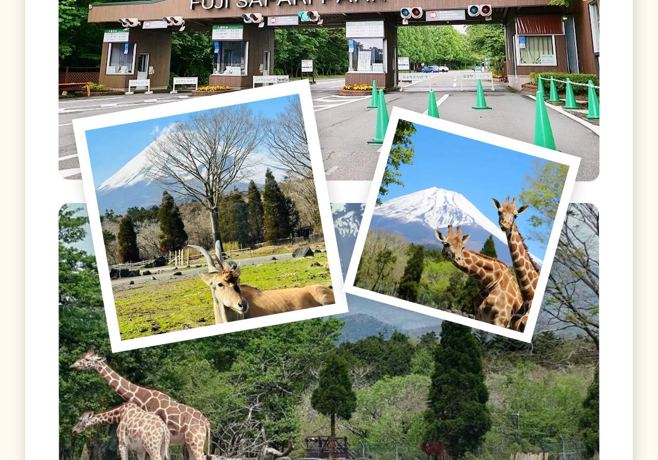 One-day tour of Fuji Safari Park, Oshino Hakkai, and Oishi Park - Klook