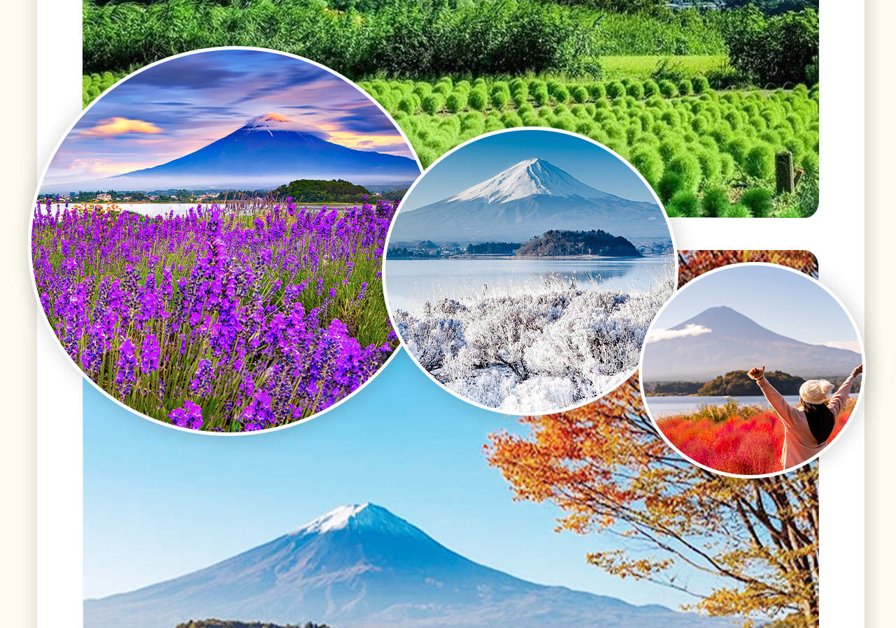 Mount Fuji, Lake Kawaguchi sightseeing train, fruit picking, and Oishi ...