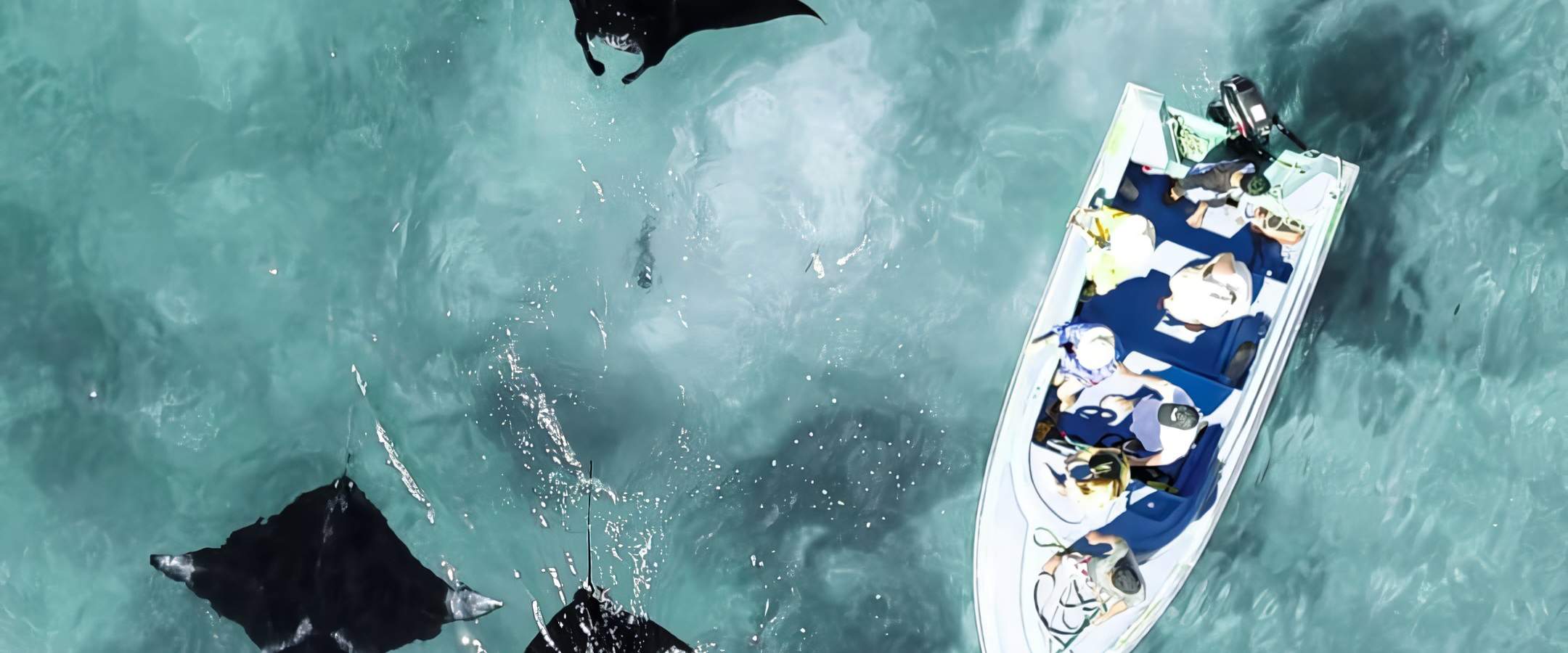 Full Day Komodo Speedboat Tour from Labuan Bajo by MK Express - Klook Malaysia