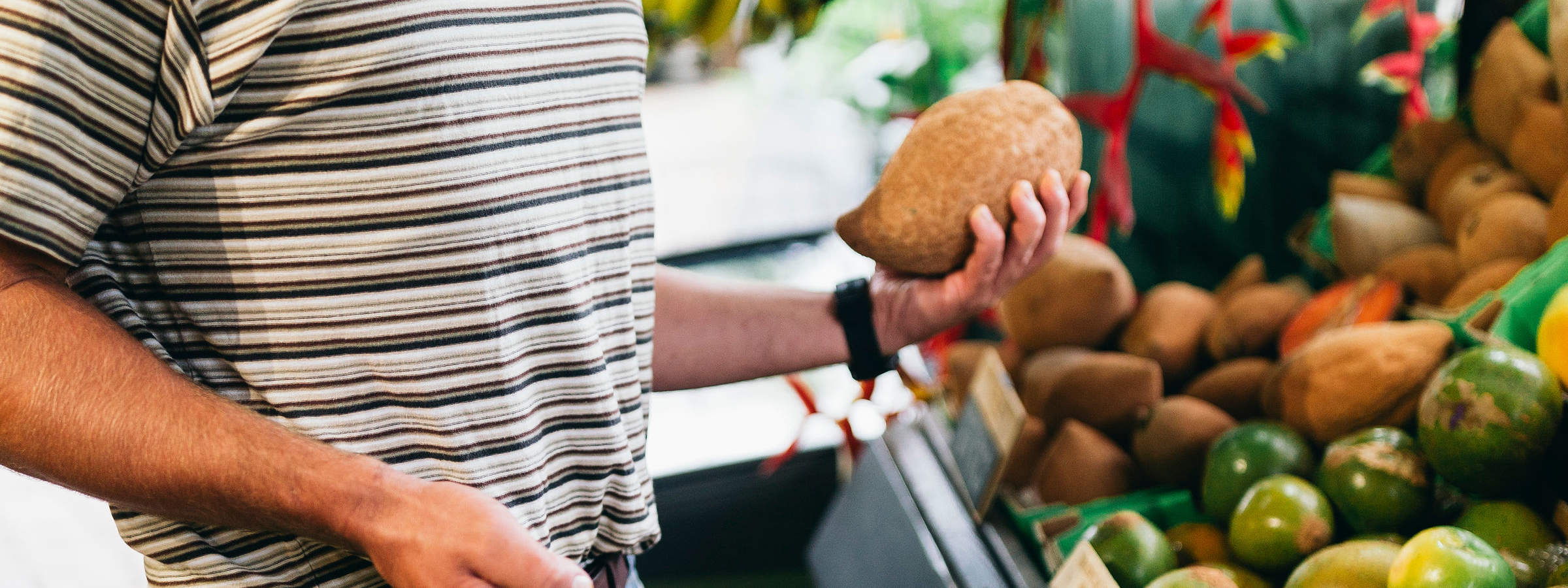 Tour mundial de granjas de frutas tropicales en Byron Bay - Klook ...