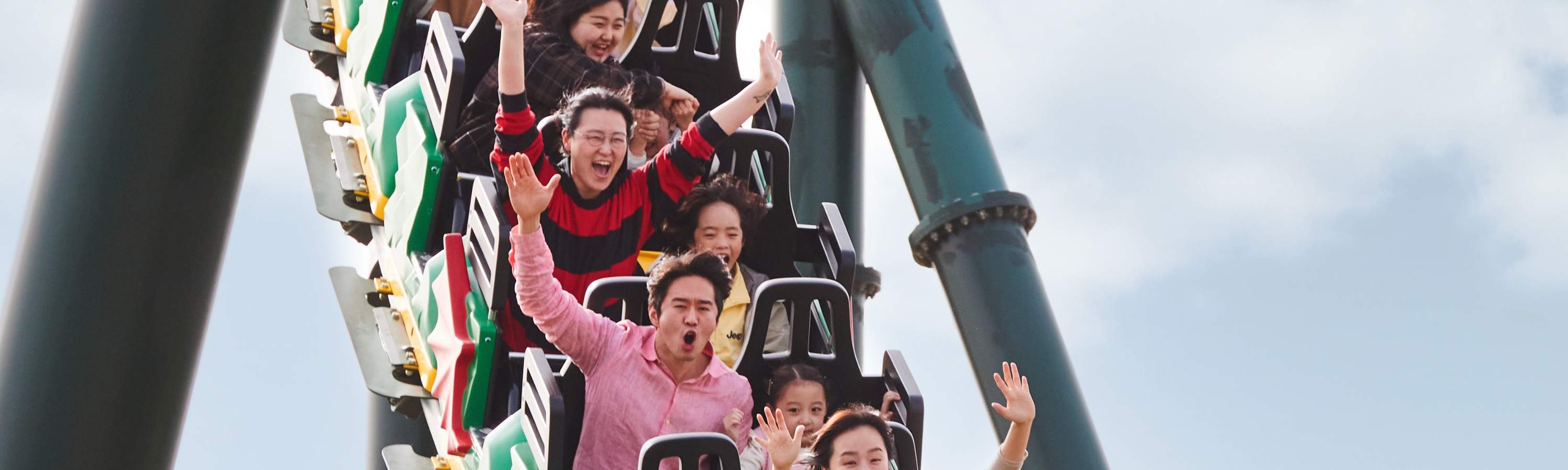 Alpaca World, Nami Island & The Garden of Morning Calm Private Tour ...