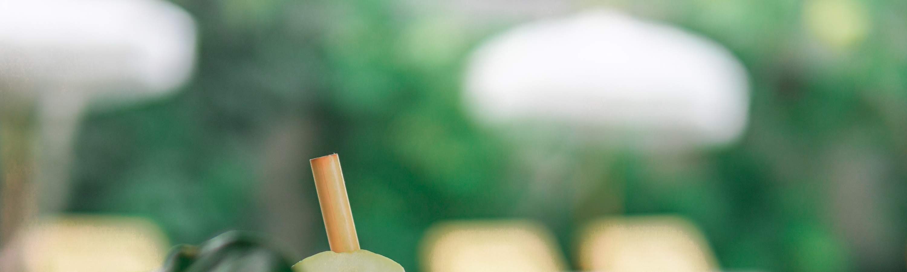 Sanctuary Umalas Dining Experience in Bali - Klook Estados Unidos