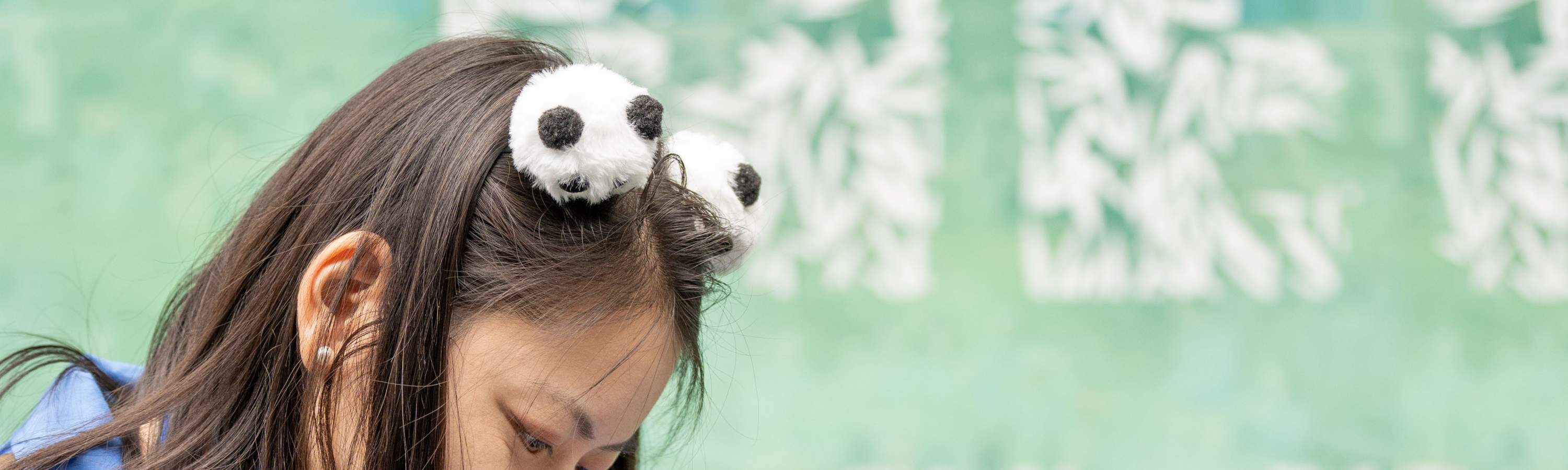[Panda Volunteer] 1-Day Charity Experience: Dujiangyan/Wolong Panda ...