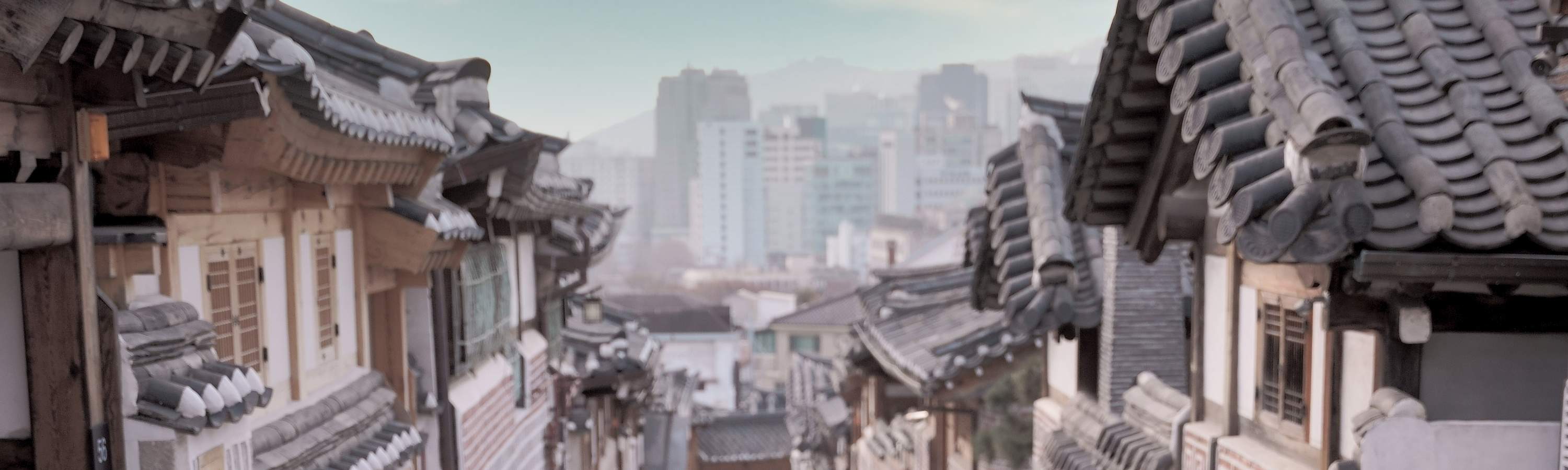 Seoul 1-hour Professional Photoshoot - Klook