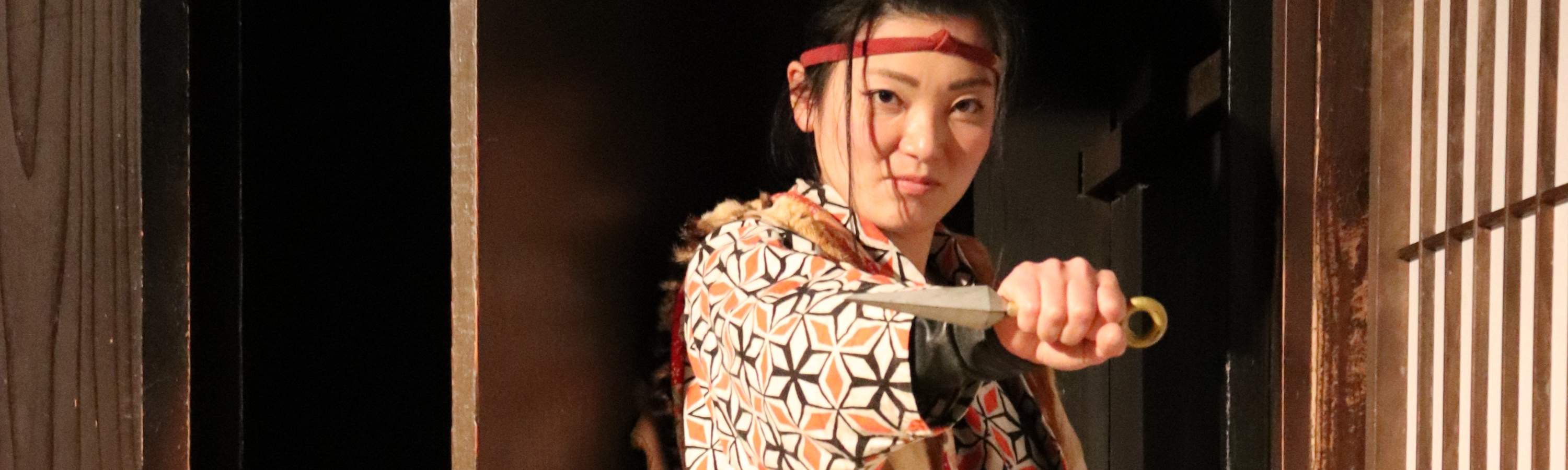 Ninja MUSEUM of Igaryu Admission Ticket in Mie - Klook United States