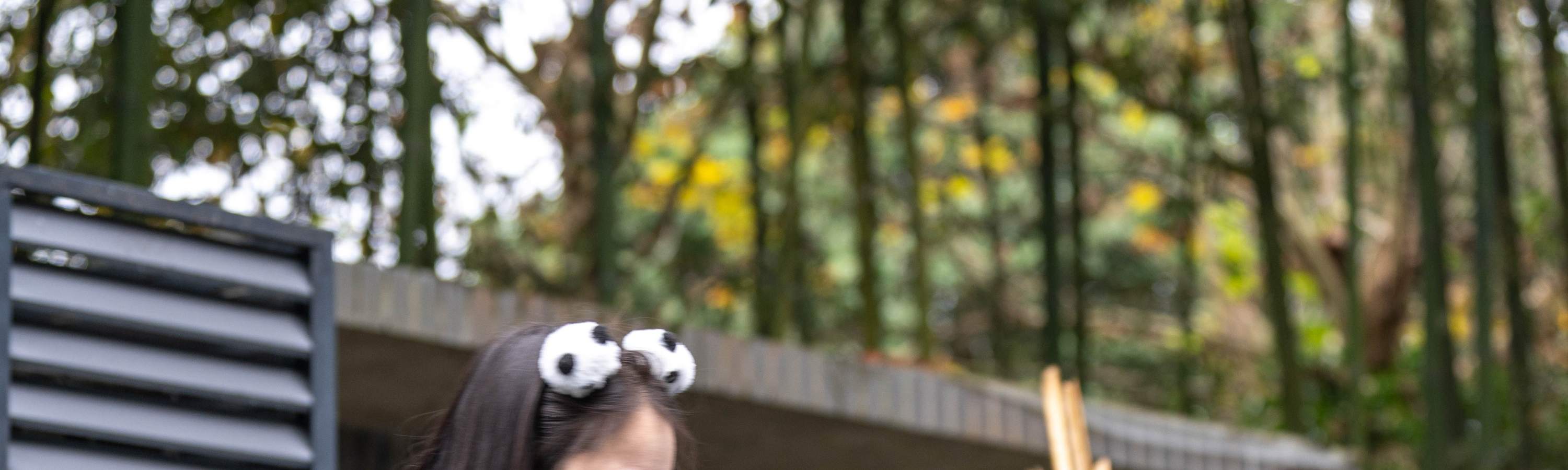 [Panda Volunteer] 1-Day Charity Experience: Dujiangyan/Wolong Panda ...