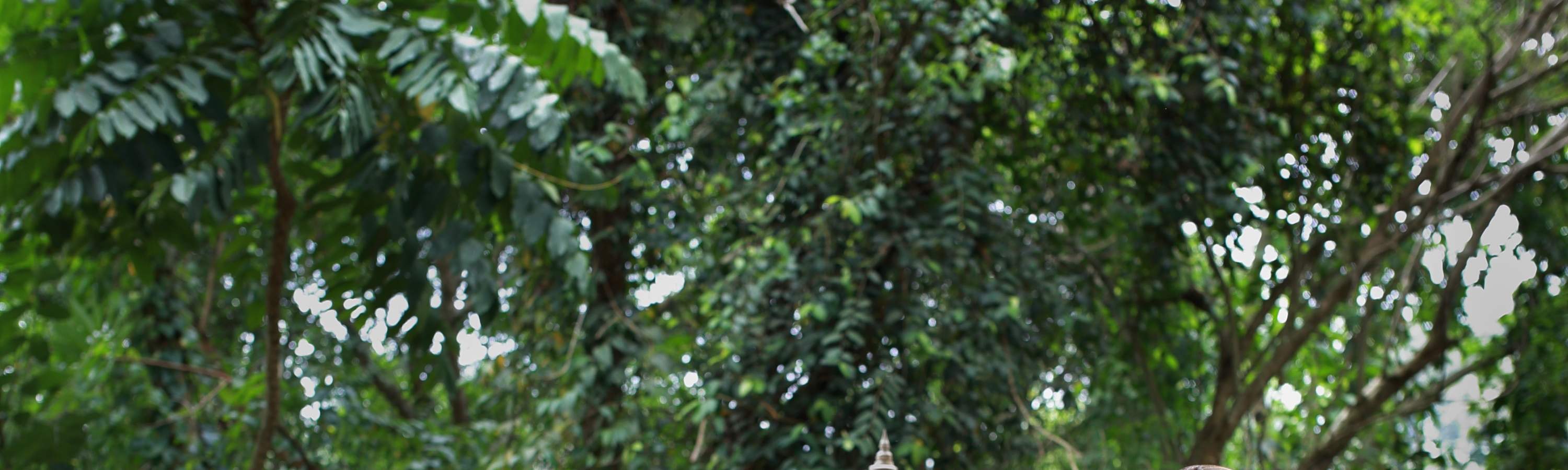 Champaka Spa in Ubud - Klook India
