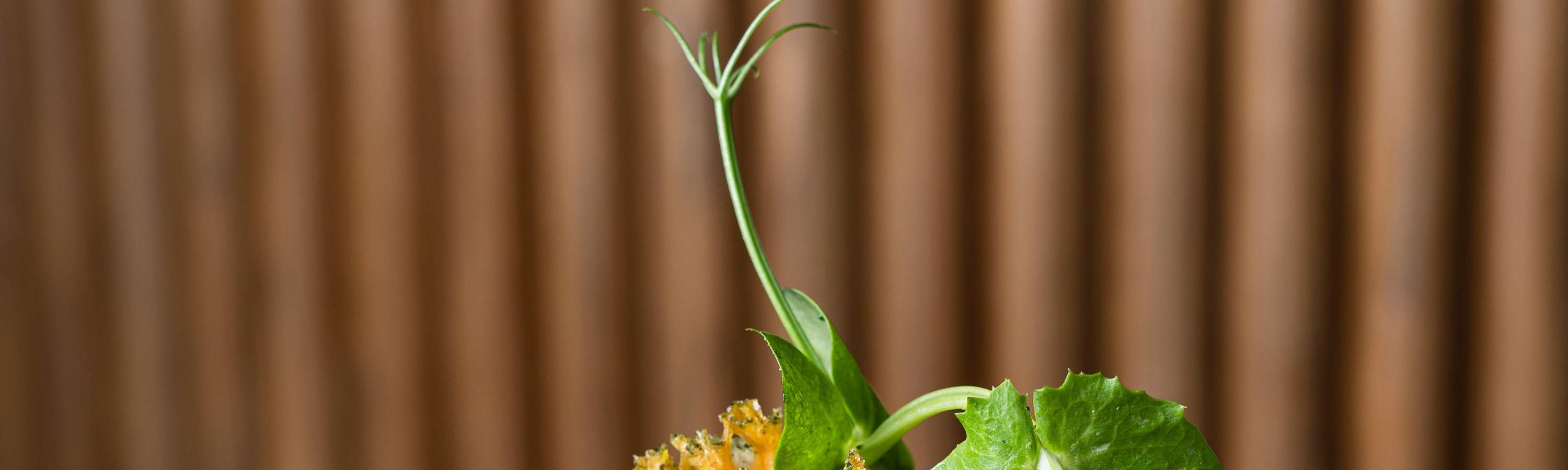 【Afternoon Tea Offer 2023】Woo Cheong Tea House | Dim Sum Afternoon Tea ...