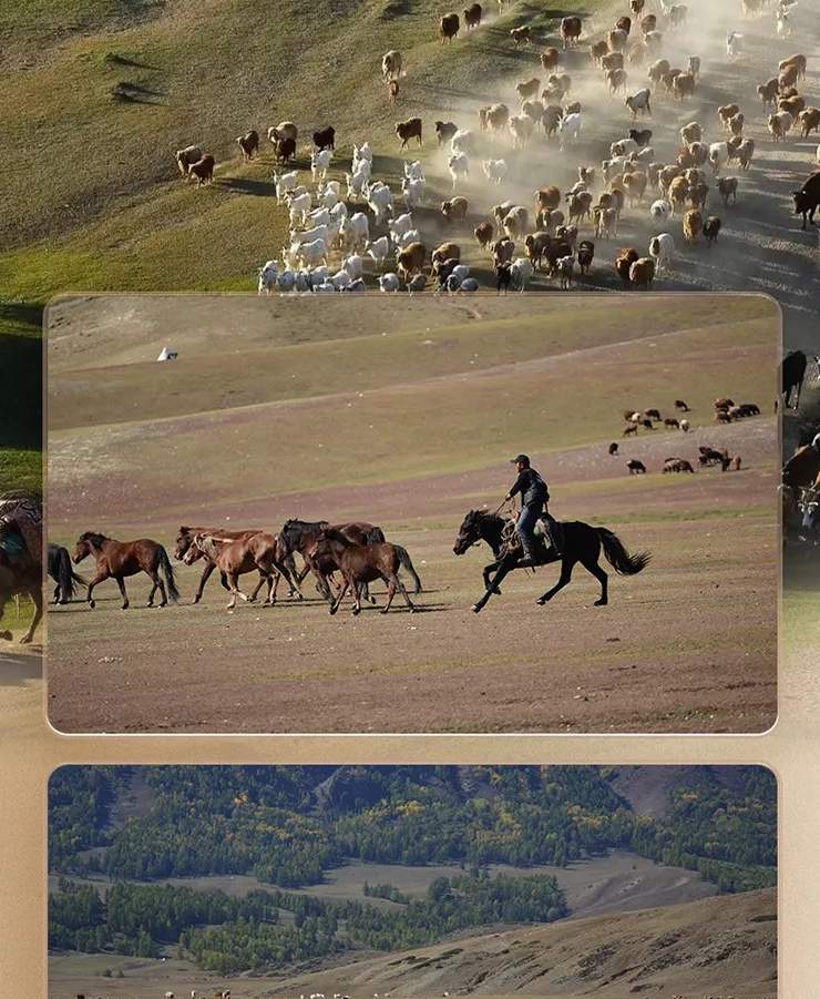 7-day Northern Xinjiang Story (2 nights of luxury accommodation in ...