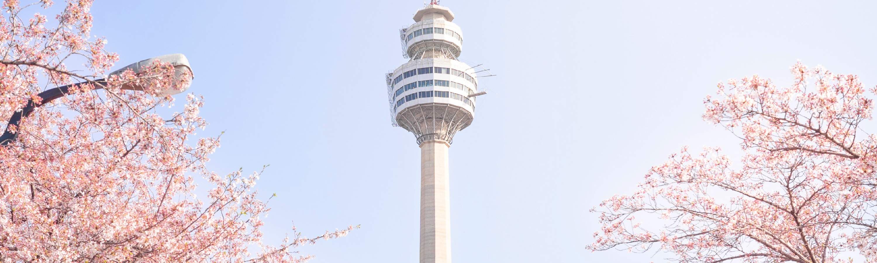 Daegu E-World Day Tour with Admission & Transportation from Busan - Klook