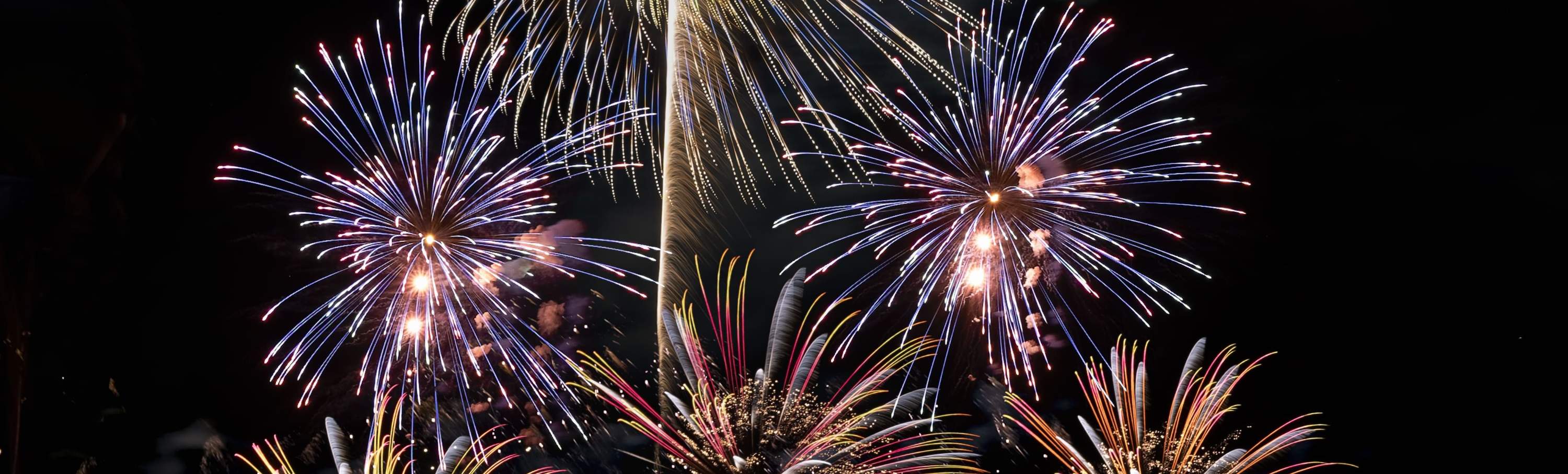 The 37th Yatsushiro National Fireworks Competition One-day Tour ...