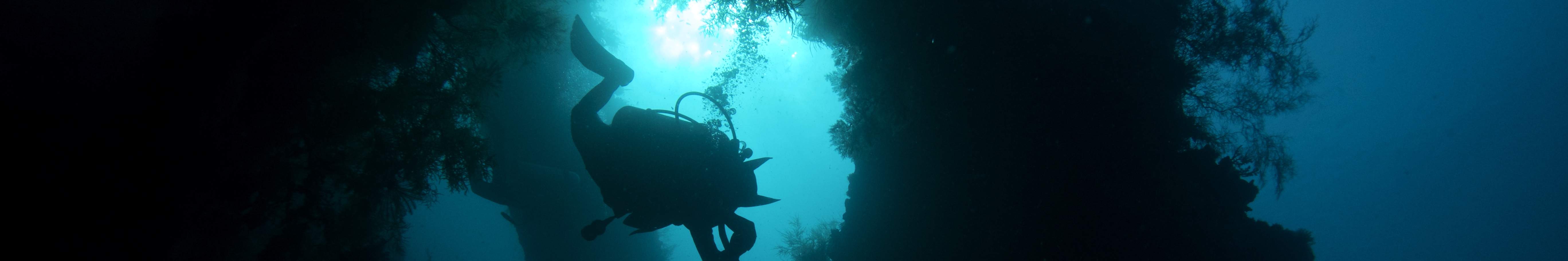 Experience Unforgettable Underwater Adventures with 2 Dives at USAT ...