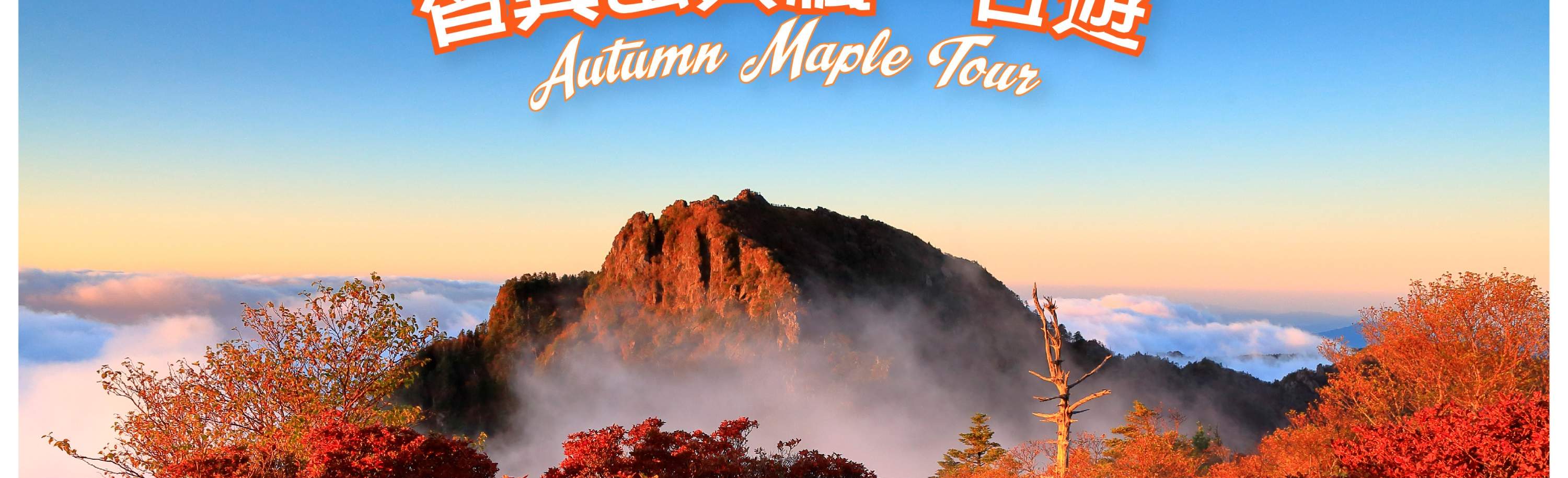 Mountain Jiri Scenic Autumn Day Tour from Busan - Klook