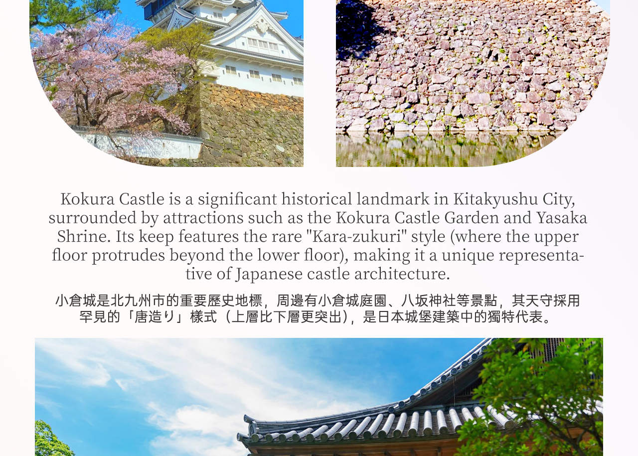 Limited-Time Flower Viewing | Northern Kyushu | A Day Trip from Fukuoka ...