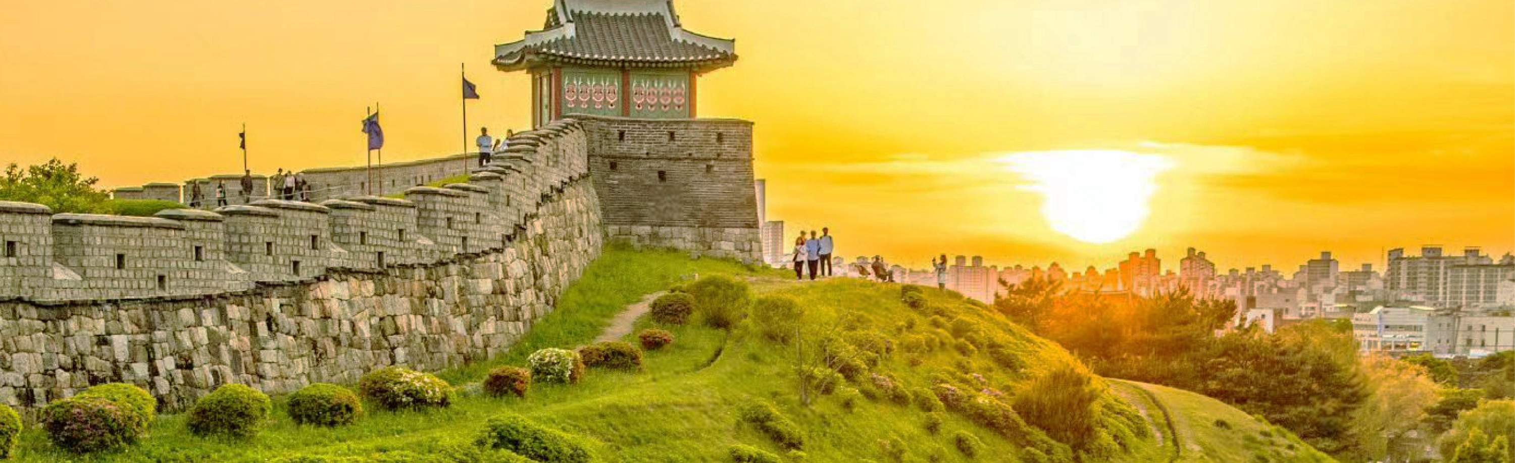 Cherry Blossom Suwon Hwaseong Fortress Tour from Seoul - Klook Singapore