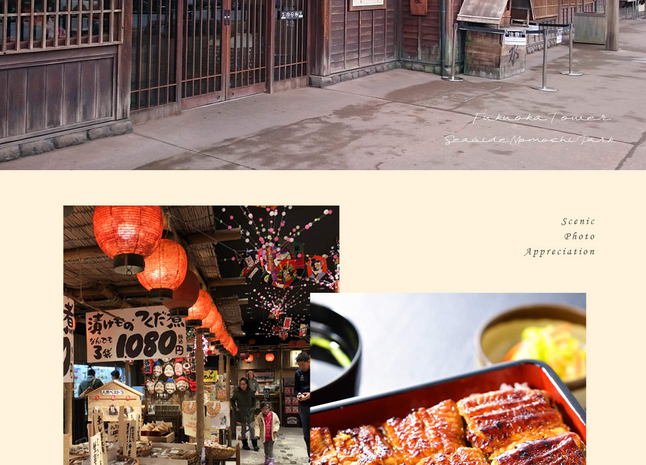 Ashikaga Flower Park Illumination, Hitachi Seaside Park & Sakatsura ...