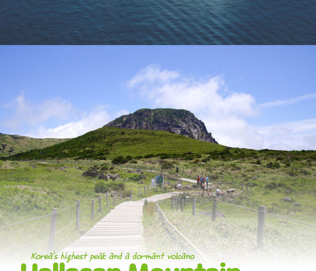 Jeju Highlight One Day Tour (Only for Cruise Guests) - Klook Philippines
