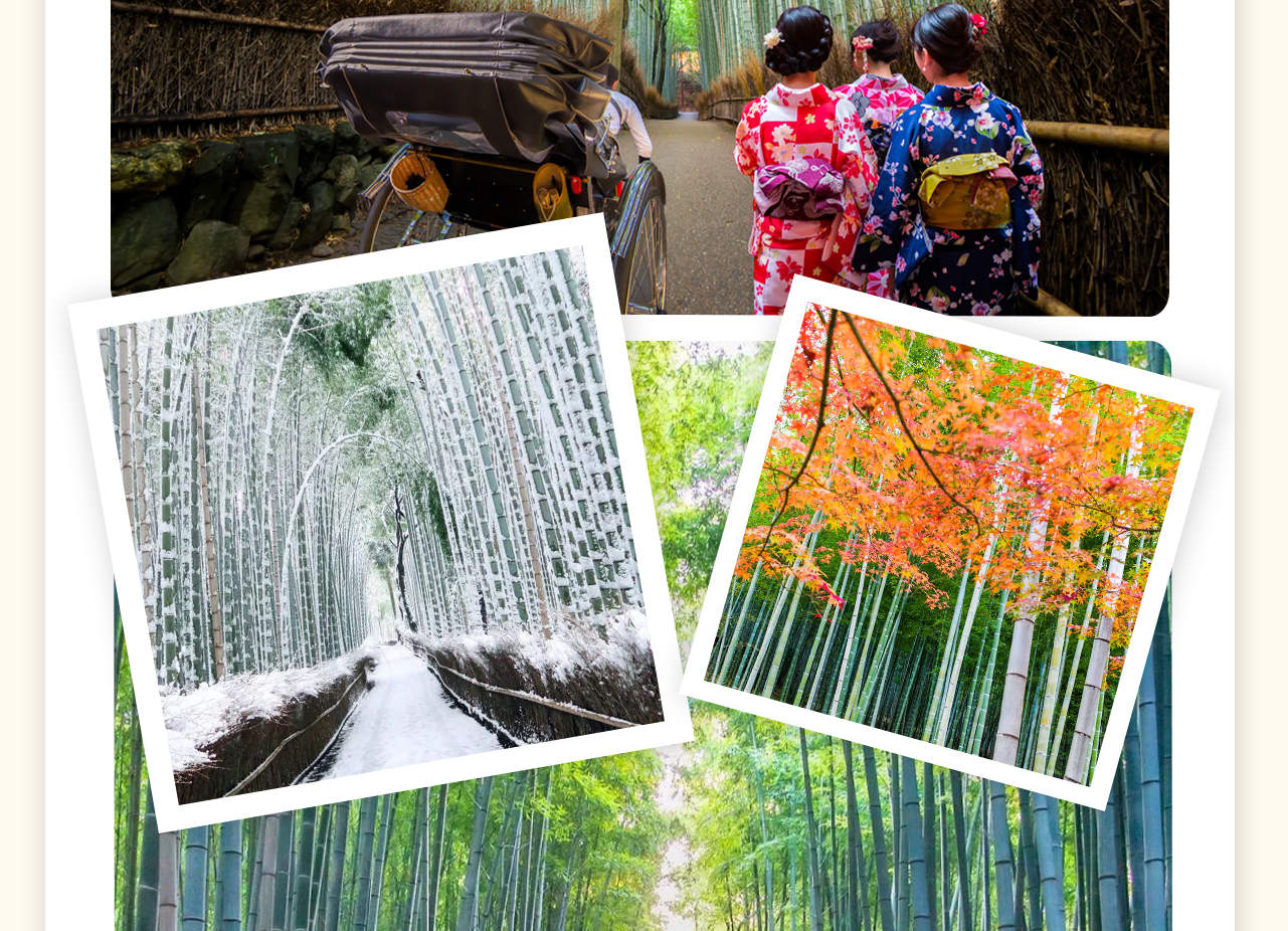 Nara Park, Fushimi Inari Shrine & Arashiyama Day Trip (From Osaka) - Klook Singapore