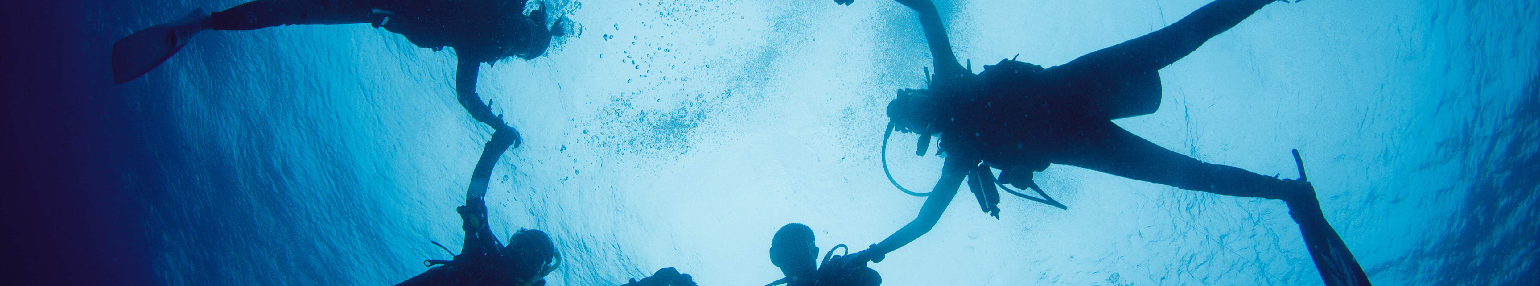 Experience PADI Discover Scuba Diving in Amed with PADI 5 Star Dive ...