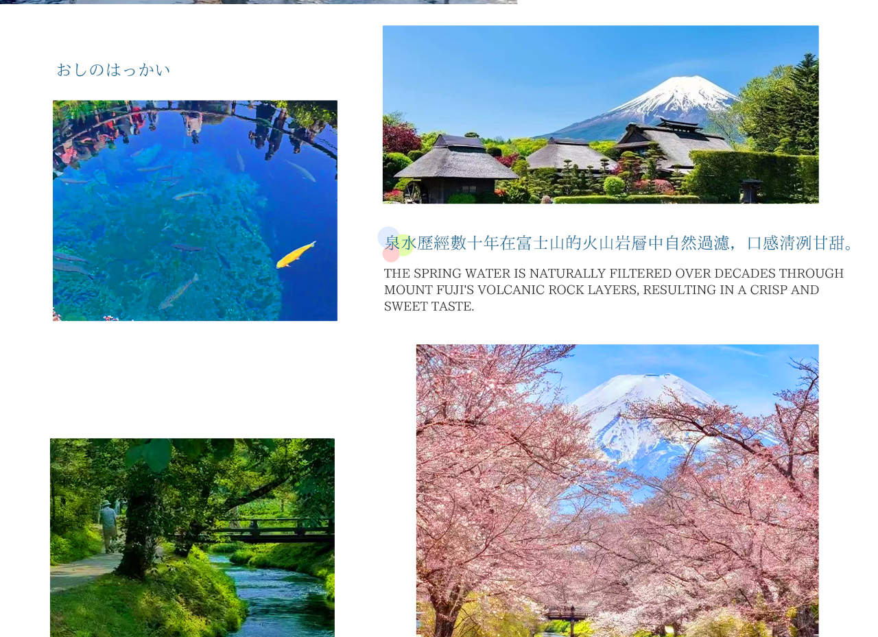 Mount Fuji from Land and Water | Yamanakako KABA Amphibious Bus / Swan ...