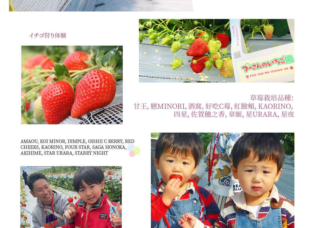 【Parent-child Recommendation】Kyushu Strawberry Picking or Takeo Shrine ...