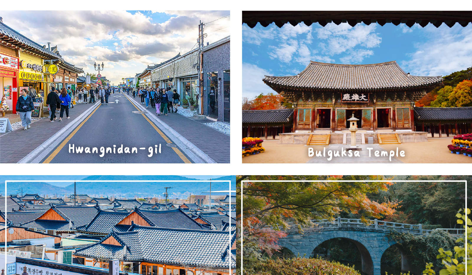 Tour autunnale di Gyeongju Hwangnidan-gil x Tempio Bulguksa (Busan ...