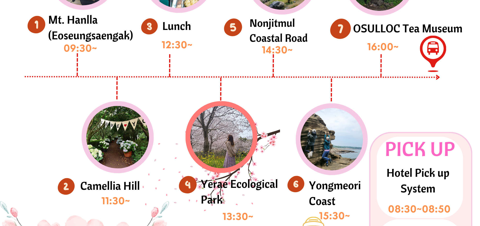 JEJU Cherry Blossom Day-Tour - Klook Singapore