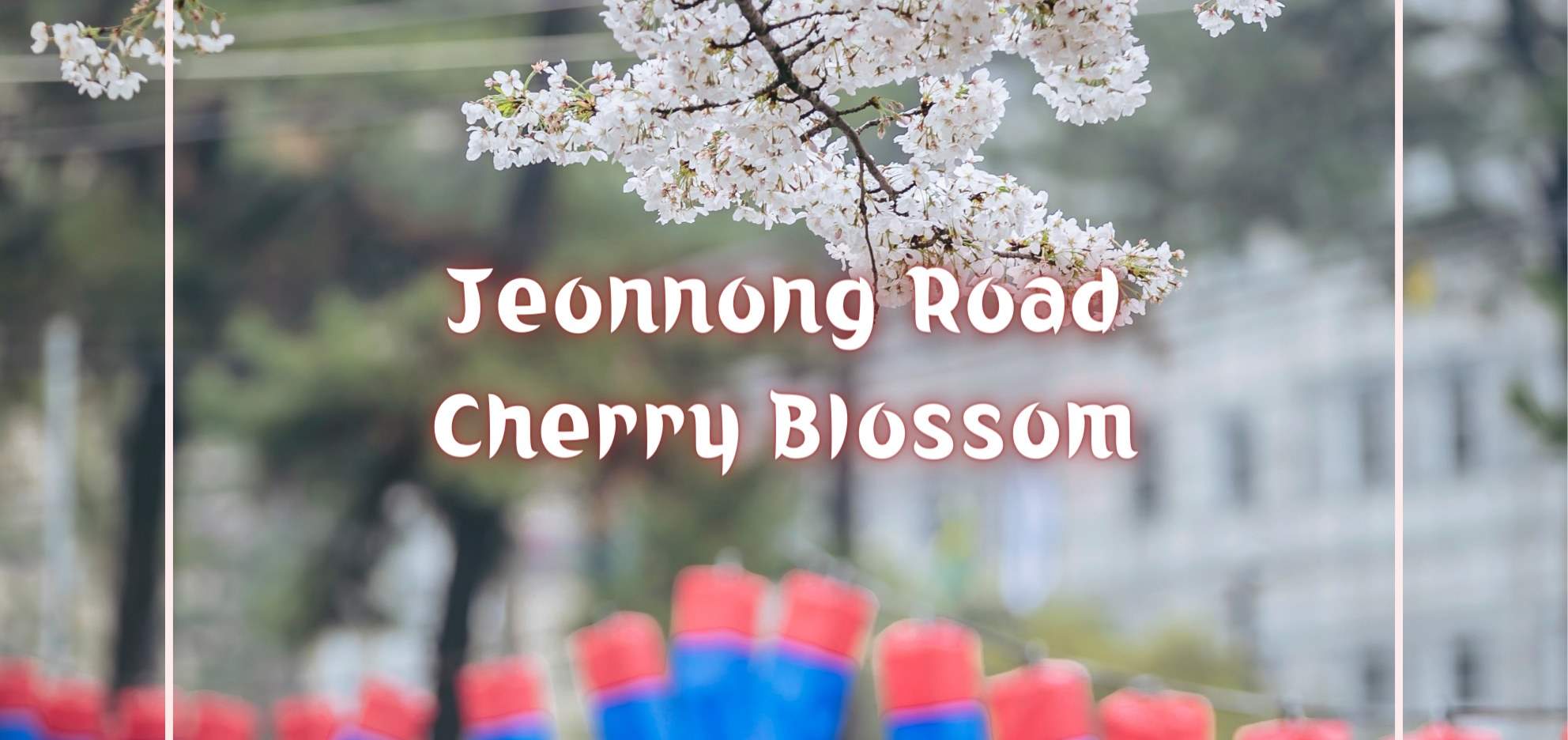 JEJU Cherry Blossom Day-Tour - Klook Singapore