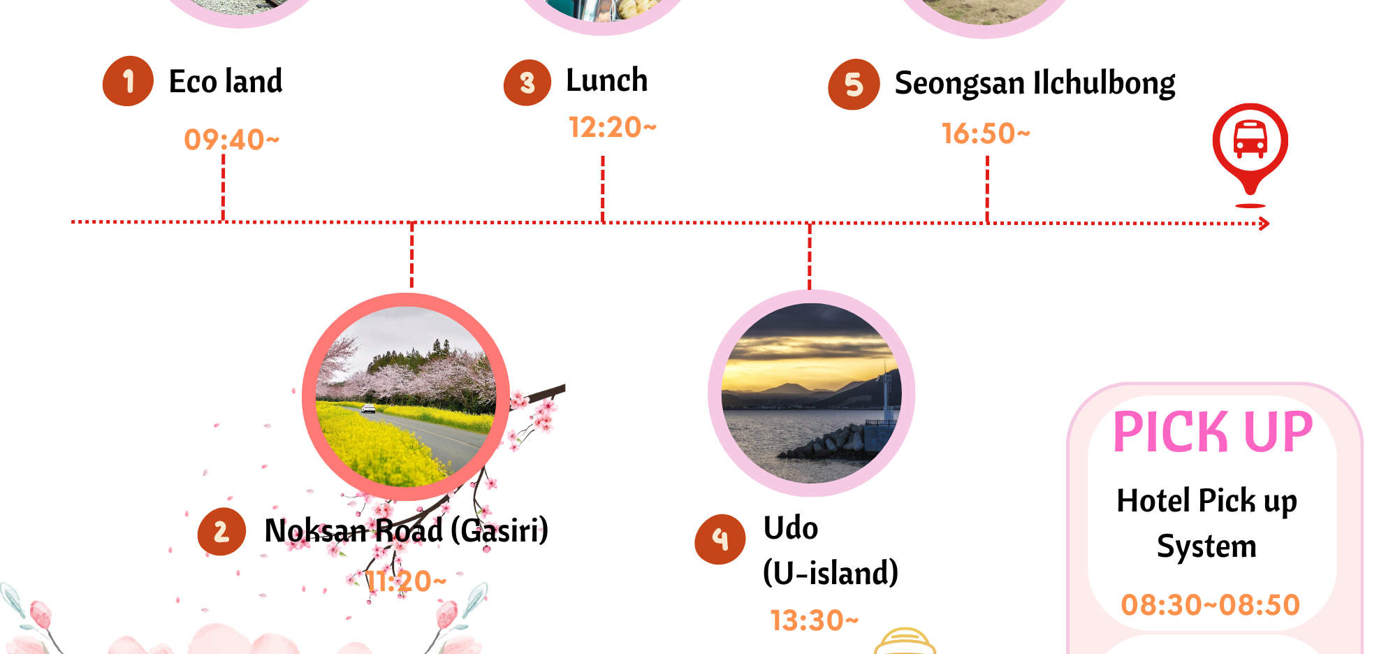 JEJU Cherry Blossom Day-Tour - Klook
