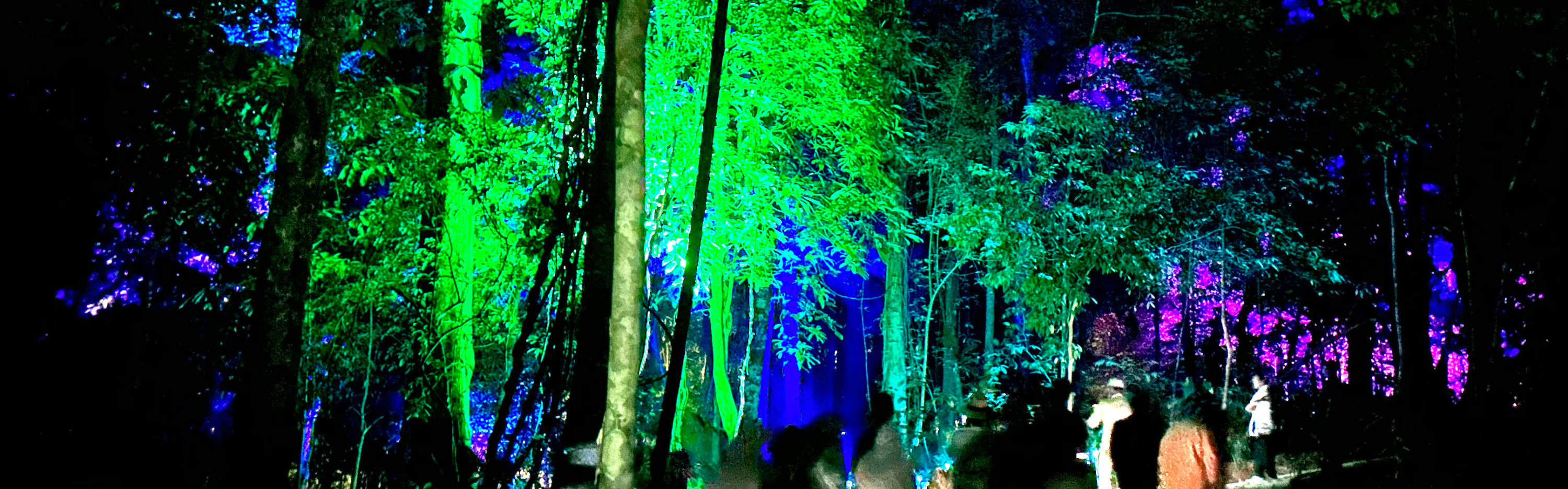 Dream Forest Langkawi Ticket - Klook United States