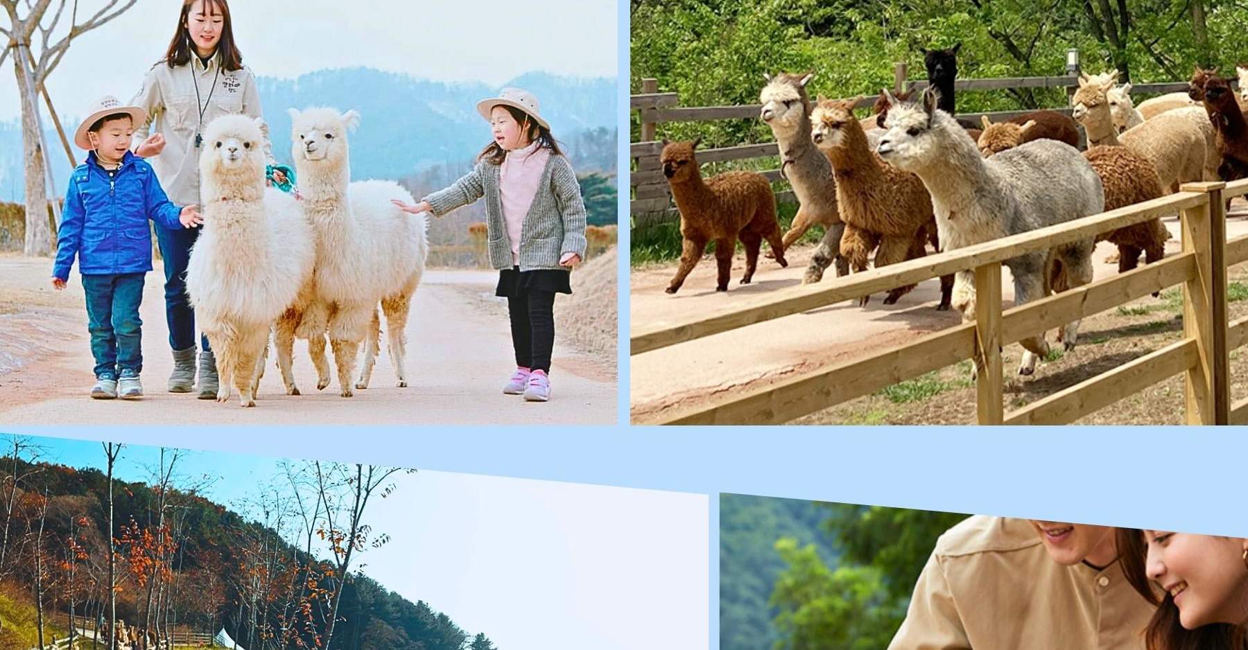 Railbike / Luge Racing Car / Alpaca World / Legoland One Day Tour ...