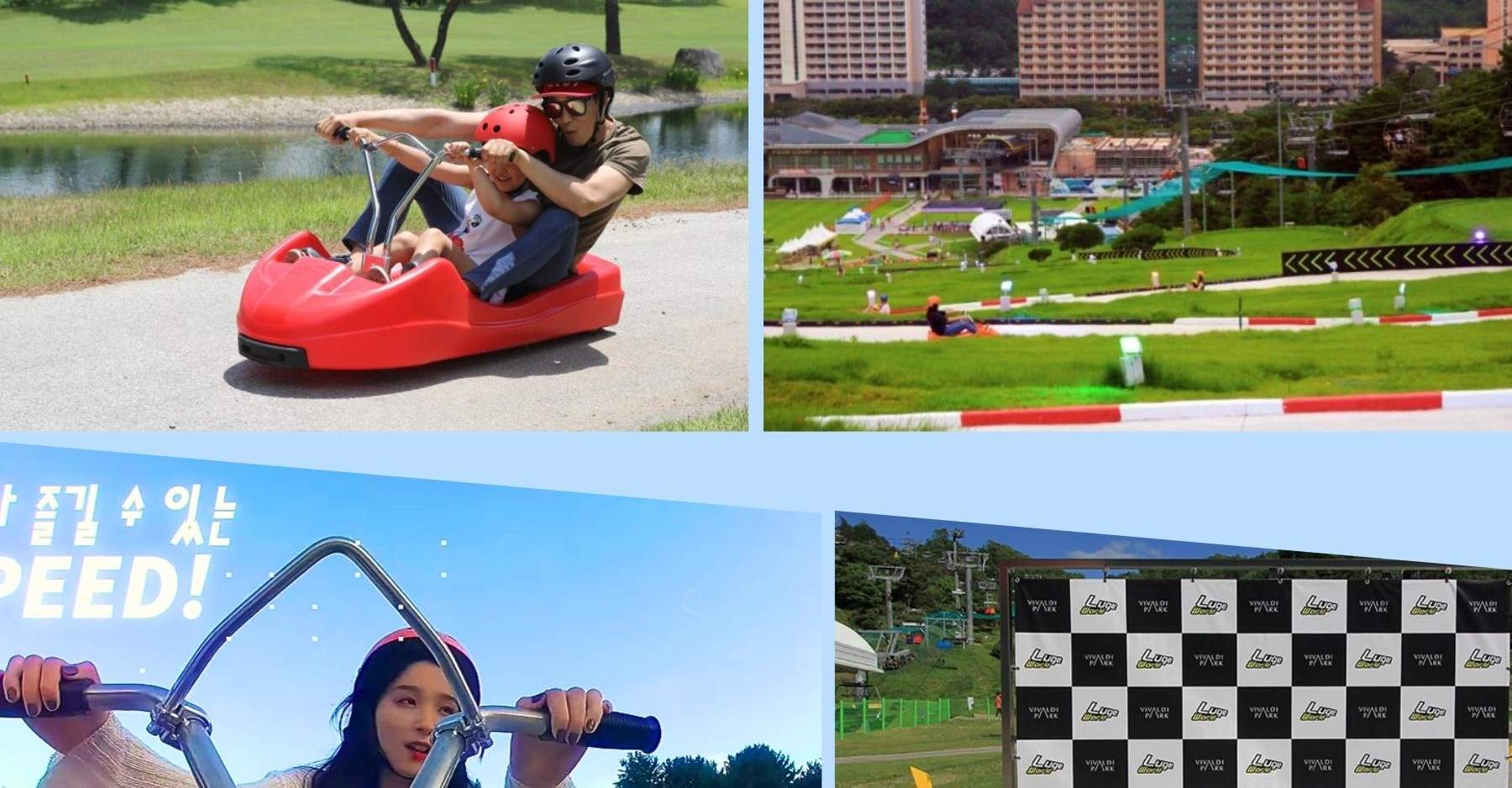 Alpaca Pasture, Strawberry Picking, and Sledding Day Trip from Seoul ...