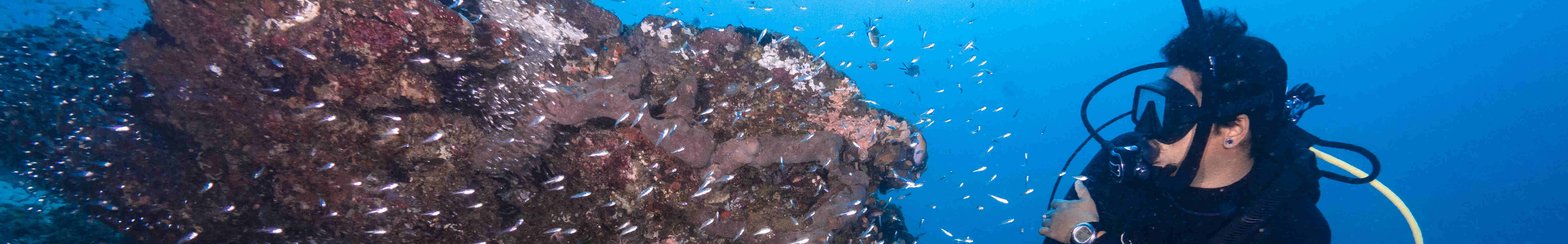 Experience Unforgettable Try Diving in Sanur with PADI 5 Star CDC ...