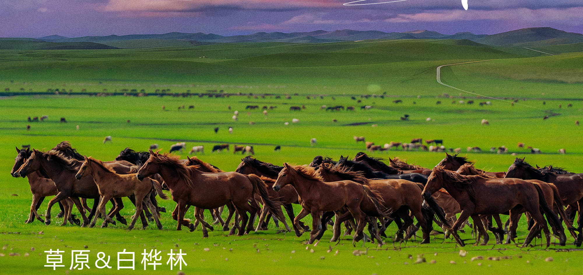 Hulunbuir Shiwei Manzhouli 6 days and 5 nights (Hailar + Sahuan Ranch ...