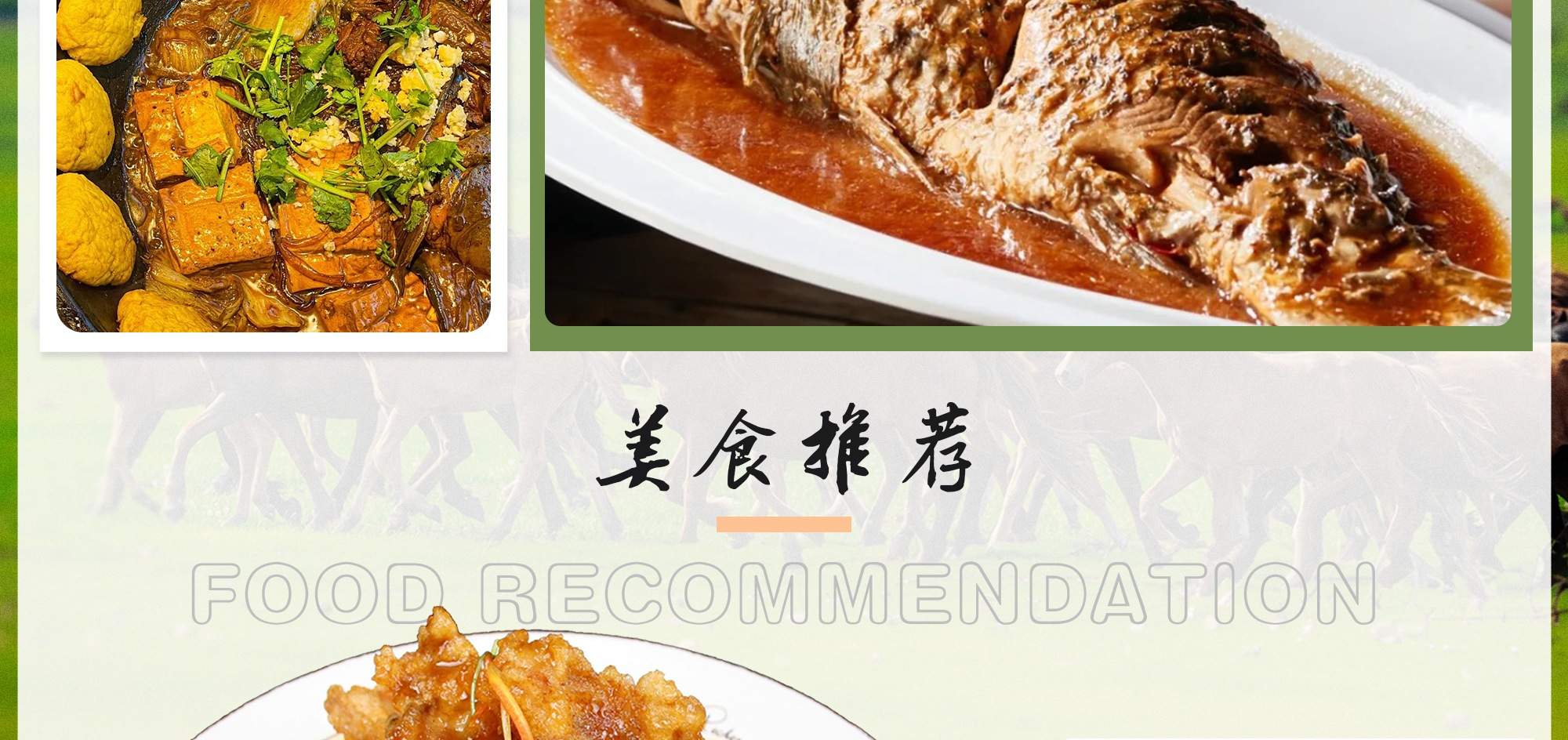 Hulunbuir Shiwei Manzhouli 6 days and 5 nights (Hailar + Sahuan Ranch ...