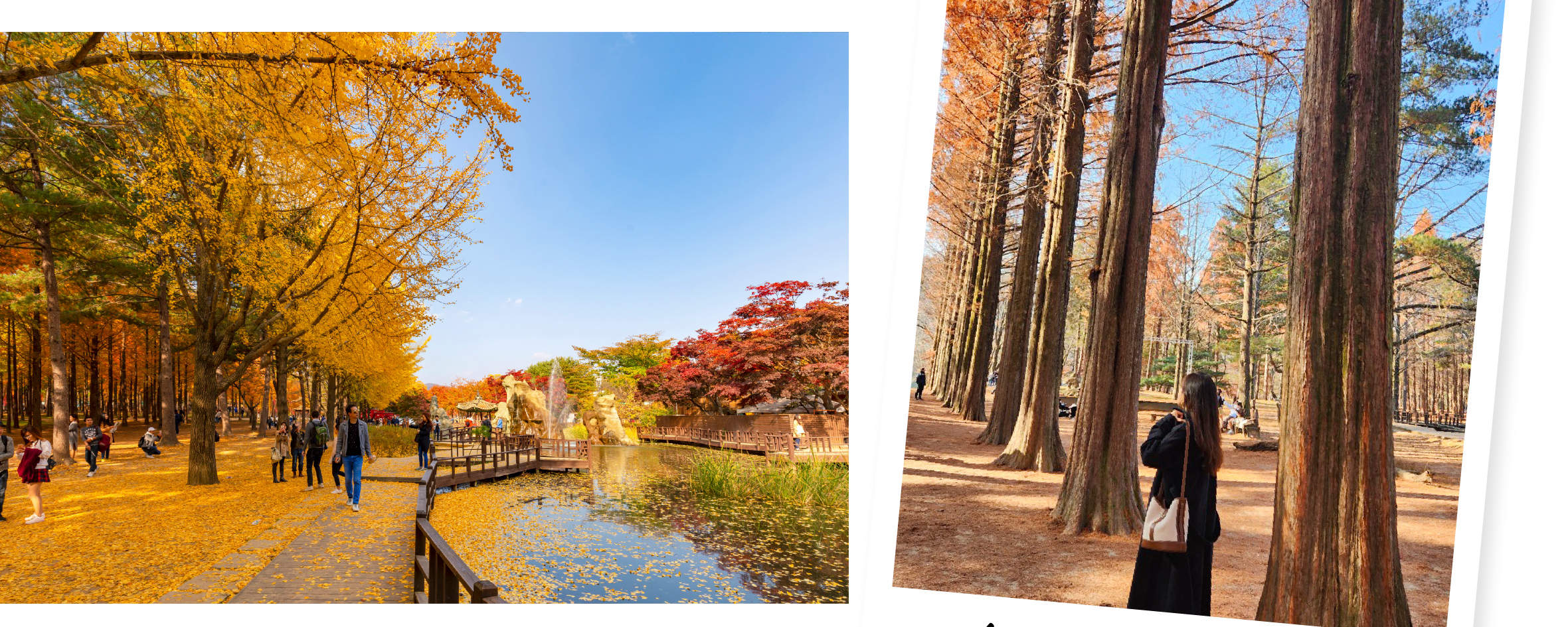 Nami Island & Mt. Seorak One Day Tour from Seoul - Klook United States