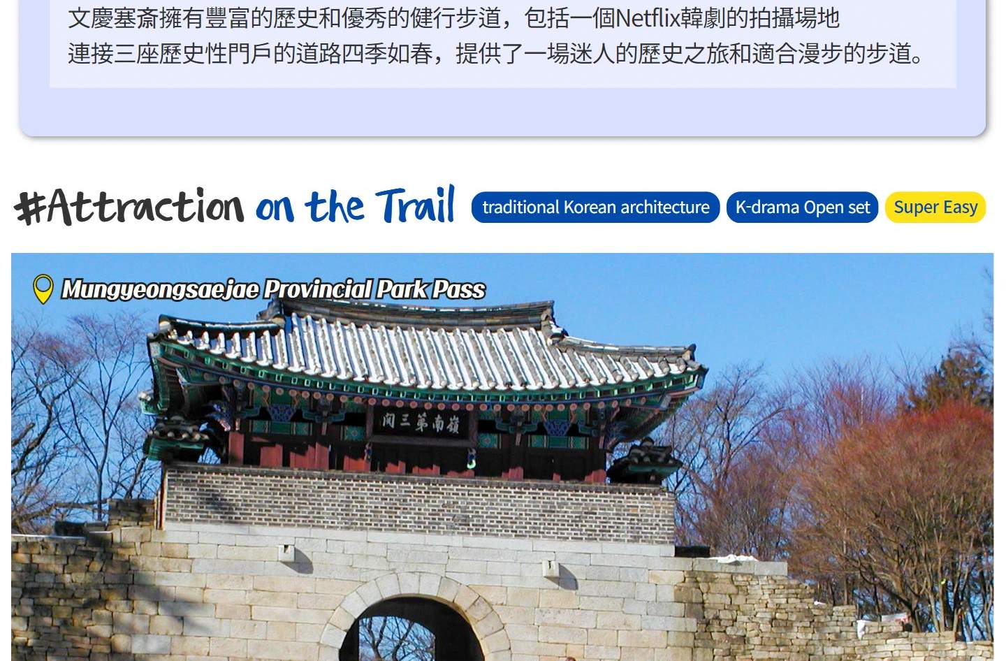 Snow & Meal Day Tour from Seoul - Snow Blossom Tour Packages - Klook