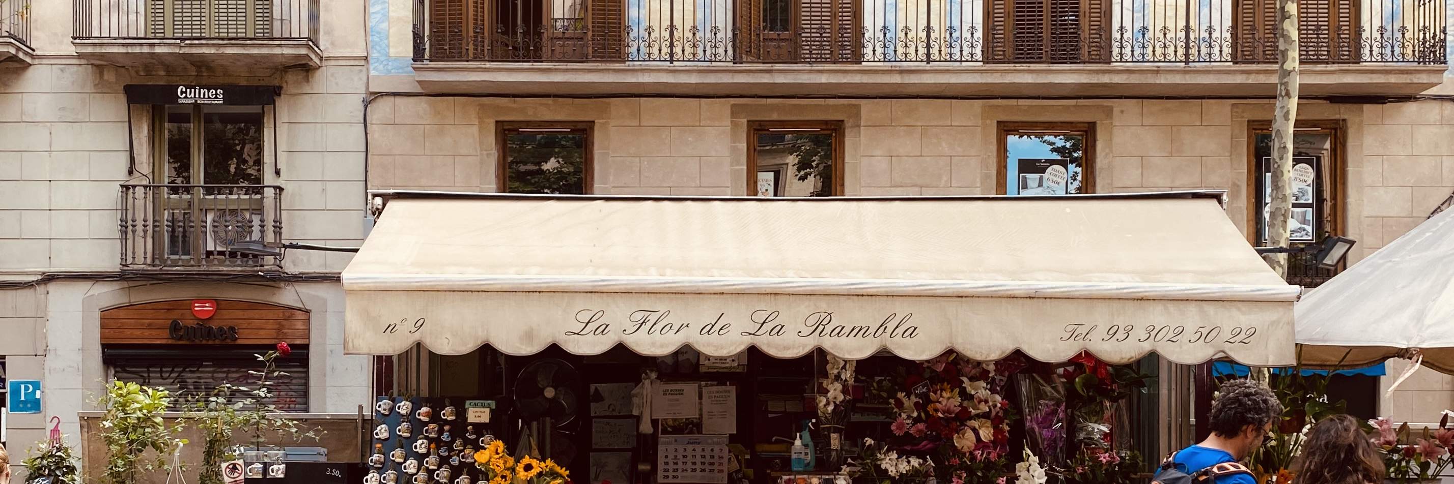 Lawatan Suku Gothic Barcelona, Pertunjukan Flamenco & Lawatan ...