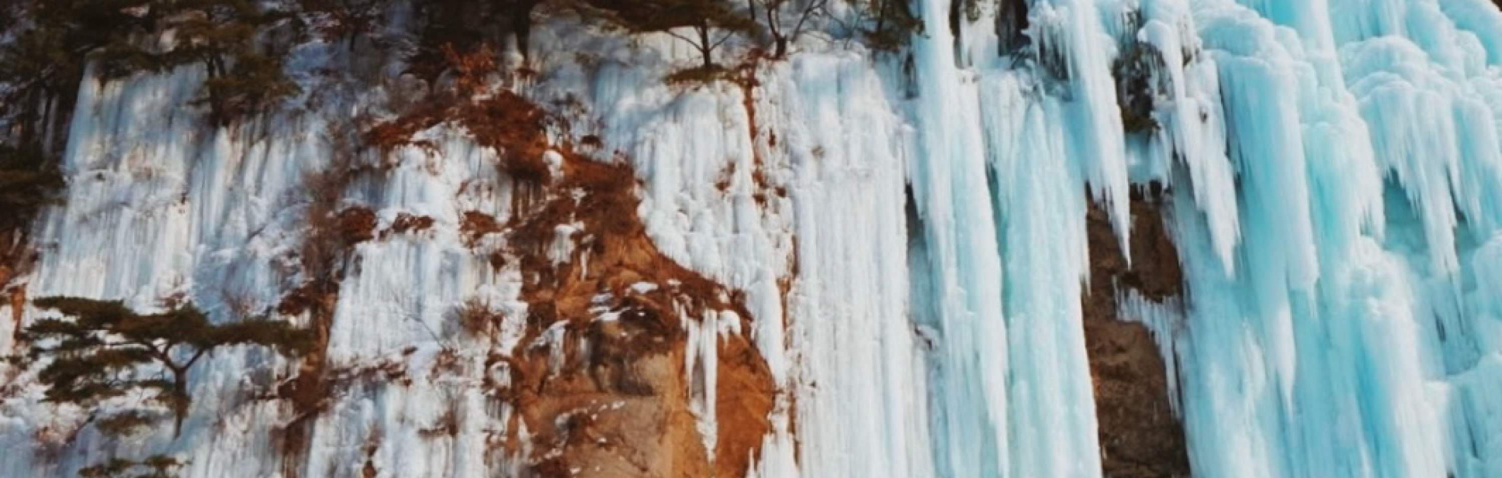 Cheolwon Canyon & Seasonal Hot Attractions One Day Tour - Klook