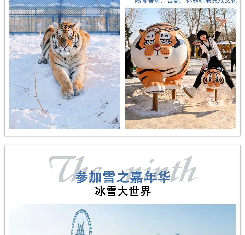 6-day trip to the Far North in Harbin Mohe, Northeast China (Harbin Ice ...