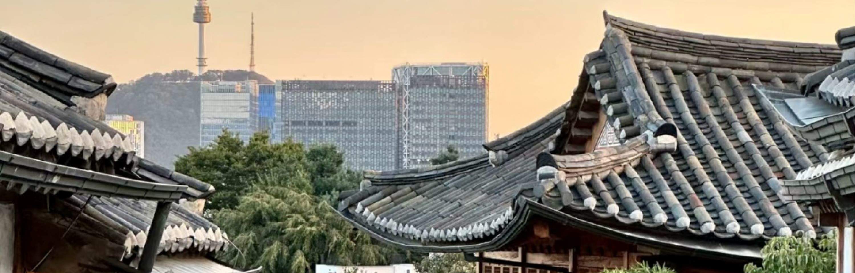 Seoul City/Walking Tour for Vegetarians and Muslims - Klook India