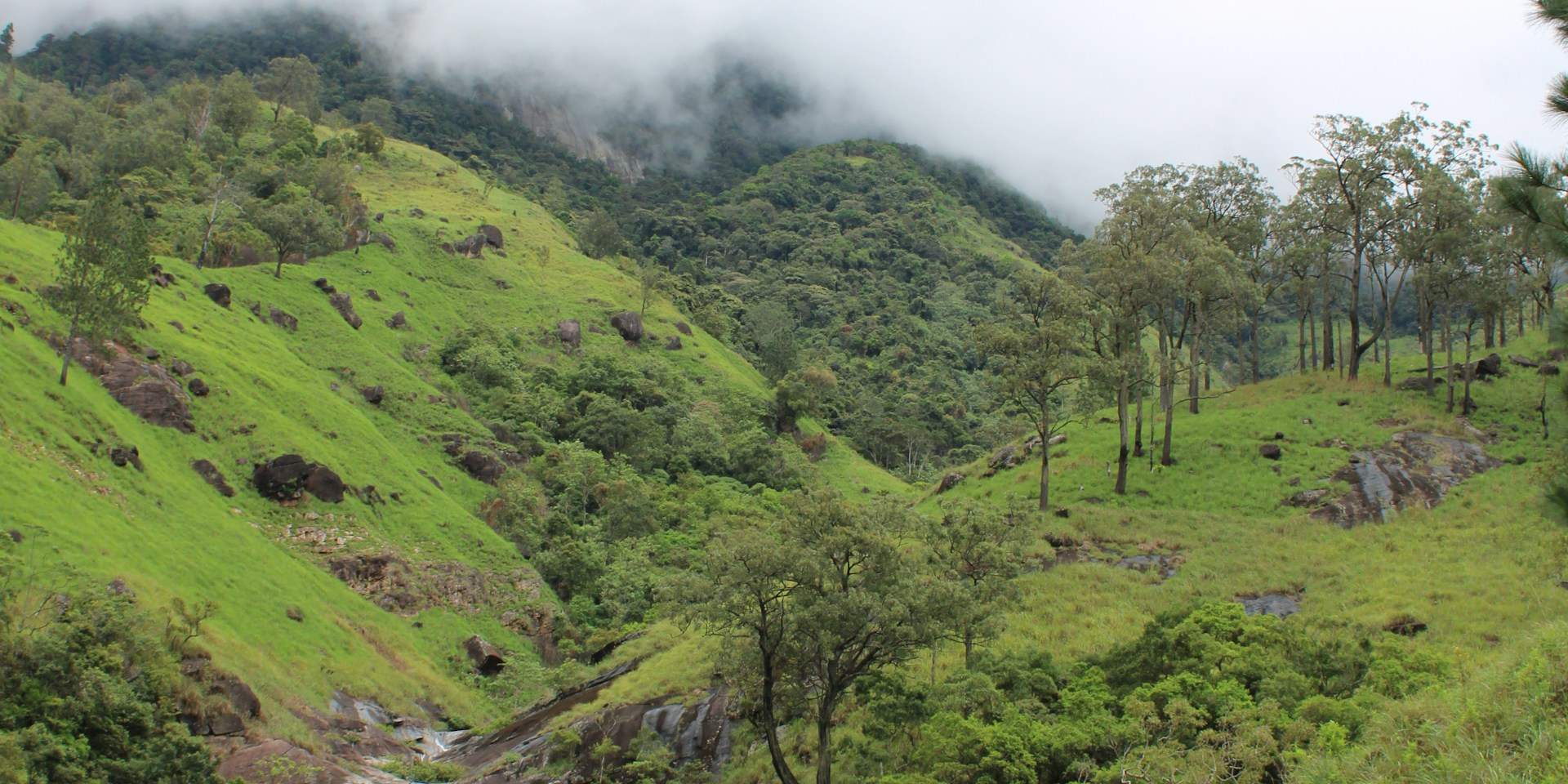 Discover the Beauty of Sri Lanka's Waterfalls: Bambarakanda Falls and ...
