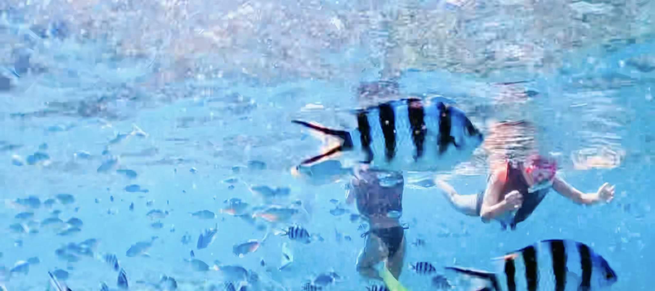 Jet Ski Tour 180-Minute Course (No License Required): Snorkeling ...