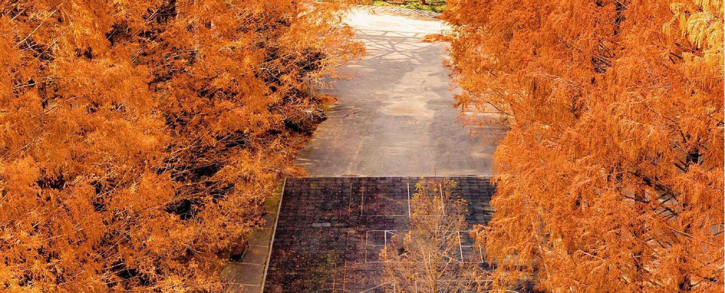 Jeonju Hanok Village & Seasonal Popular Attractions Day Tour - Klook