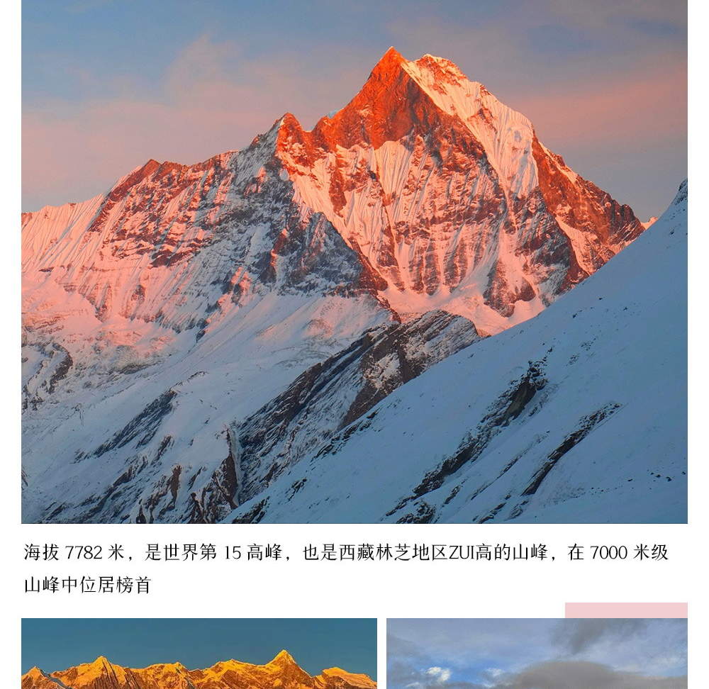 Musim Bunga Persik selama 5 hari di Nyingchi, Tibet (Gunung salju ...
