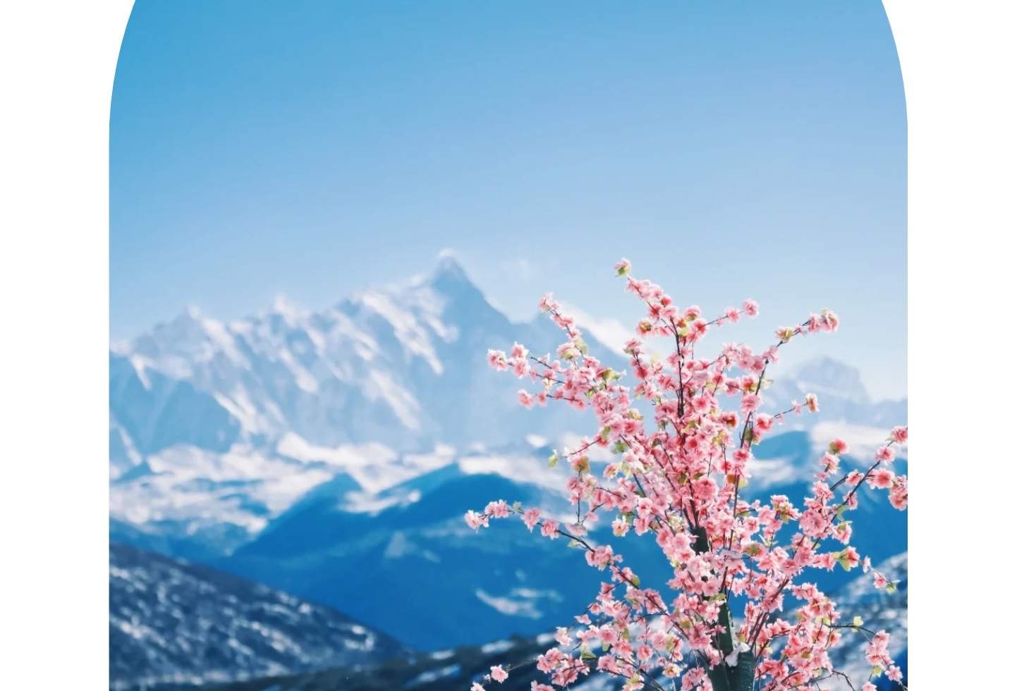 5-day tour to Laigu Glacier in Tibet (Laigu Glacier + Ranwu Lake ...