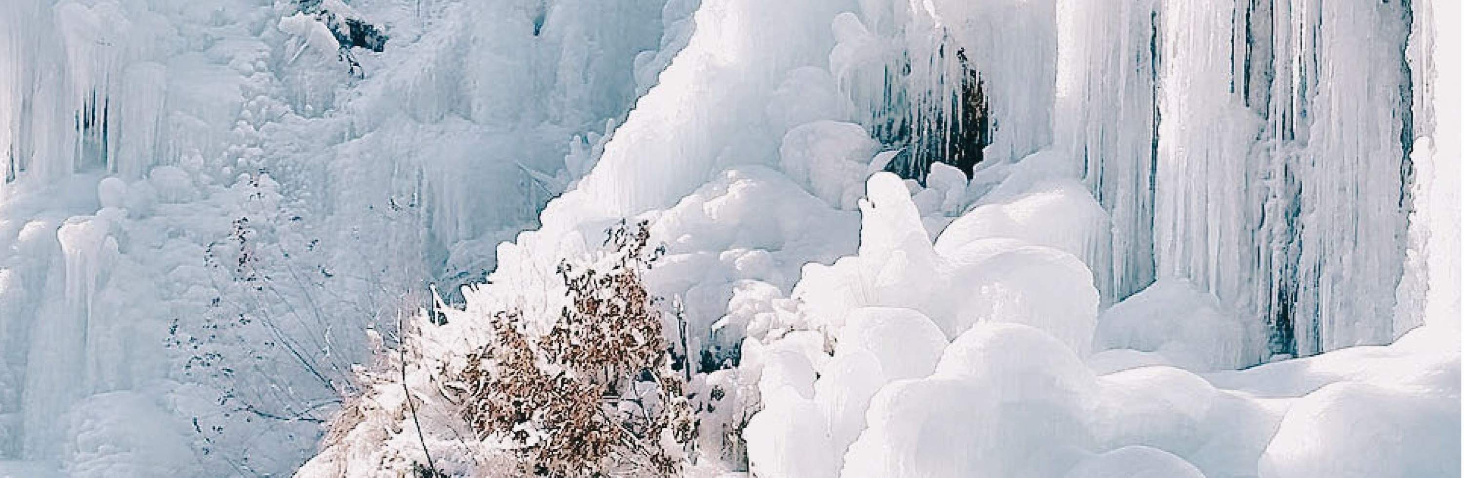 Nami Island & Eobi Ice Valley & Panorama Field & Morning Calm Tour - Klook