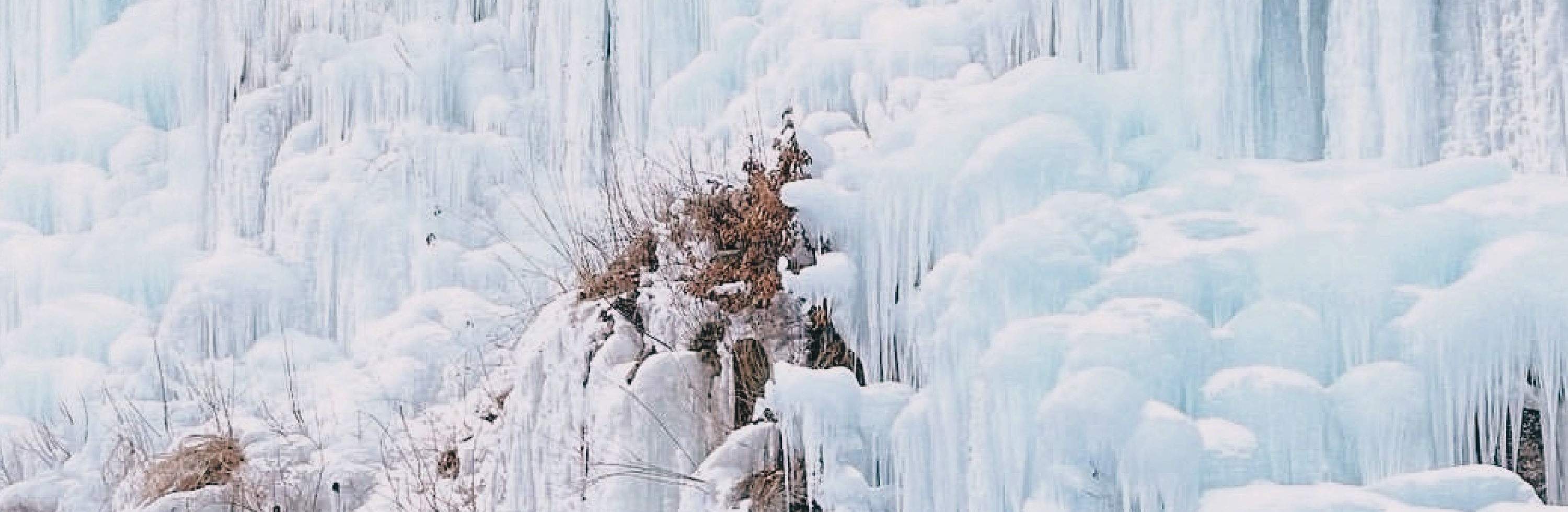 Nami Island & Eobi Ice Valley & Panorama Field & Morning Calm Tour - Klook