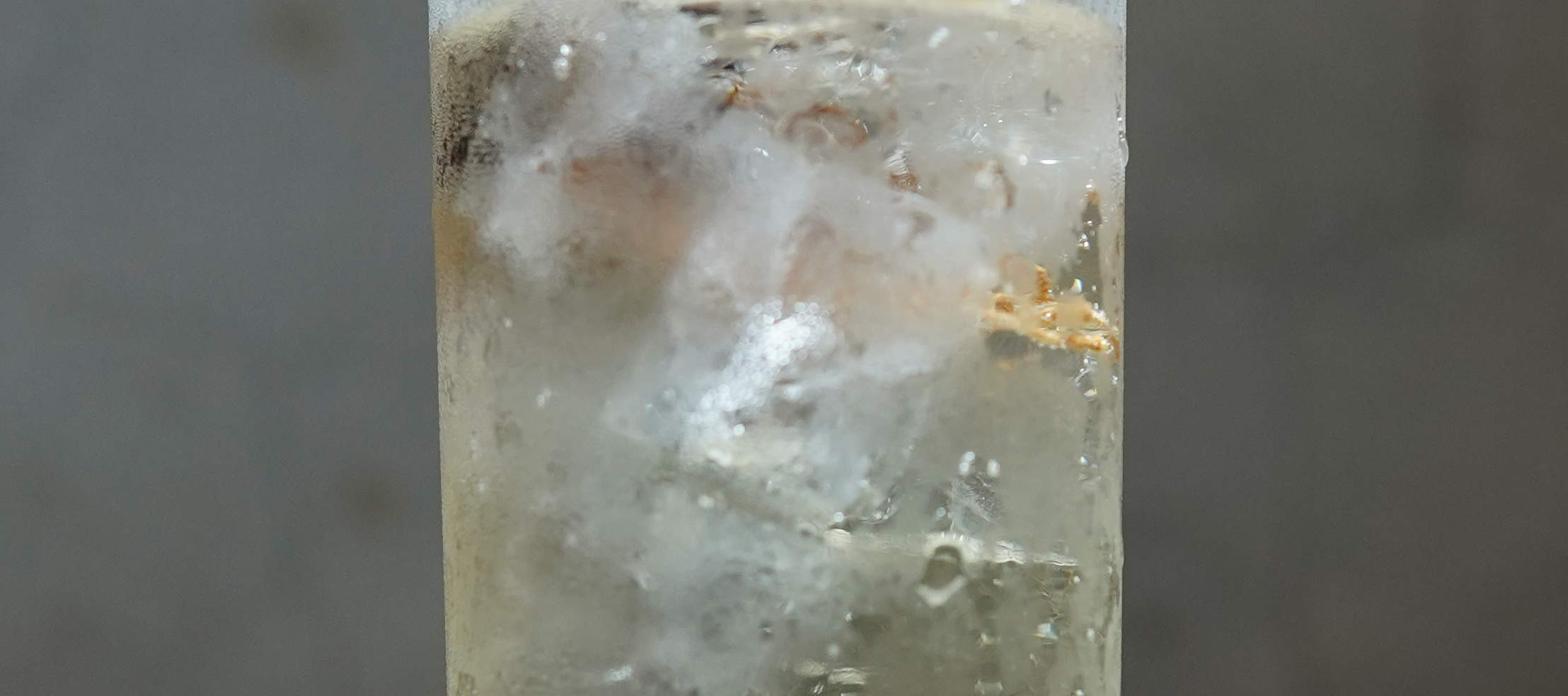 NEO SHINJYUKU ATSUSHI - Themed Restaurant in Tokyo, Shinjuku - Klook ...